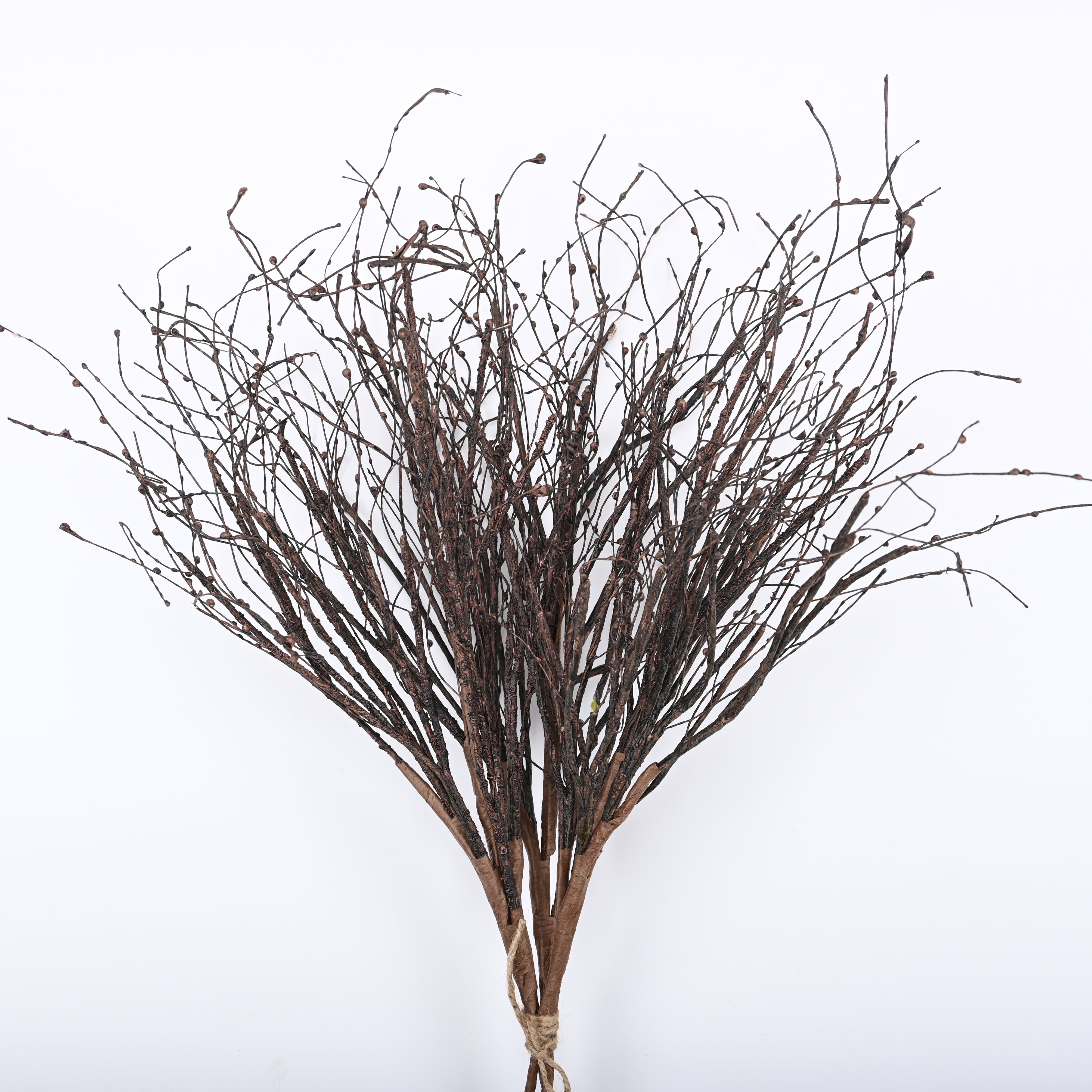 Primrue 30" Birch Twigs Decorative Branches & Reviews | Joss & Main
